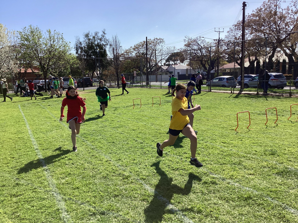SPORTS DAY - Allenby Gardens Primary School